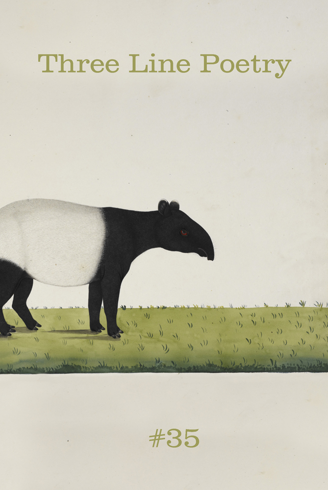 Three Line Poetry #35 by Glenn Lyvers | Goodreads