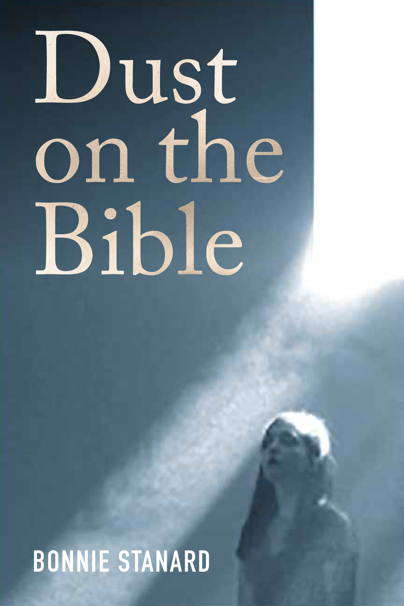 Dust On the Bible by Bonnie Stanard | Goodreads