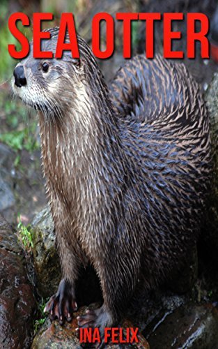 Sea Otter: Children Book of Fun Facts & Amazing Photos on Animals in ...