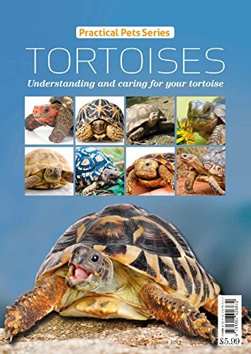 Tortoises: Understanding and caring for your tortoise by David Alderton ...