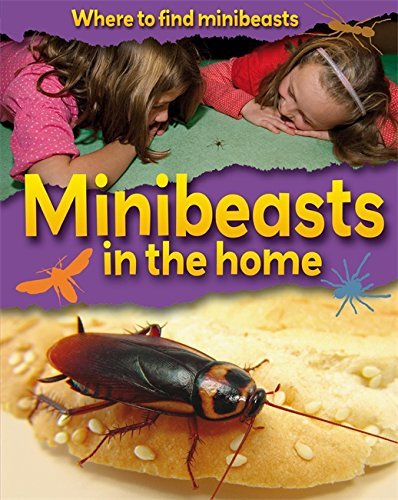 Minibeasts in the Home (Where to Find Minibeasts) by Sarah Ridley ...