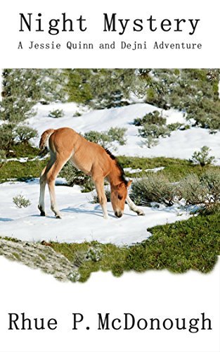 NIGHT MYSTERY: Jessie Quinn and Dejni Adventure by Rhue P. McDonough ...