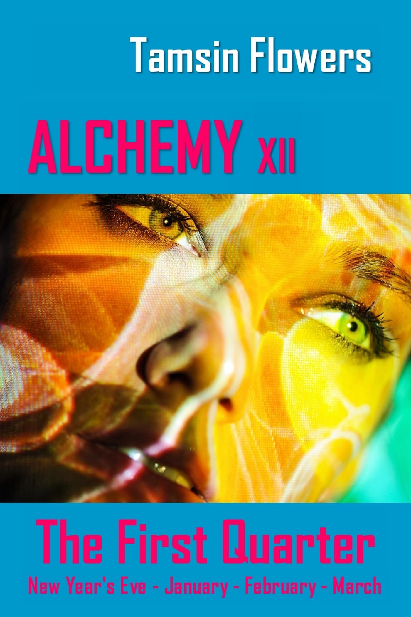 Alchemy xii: The First Quarter: New Year's Eve - January - February ...