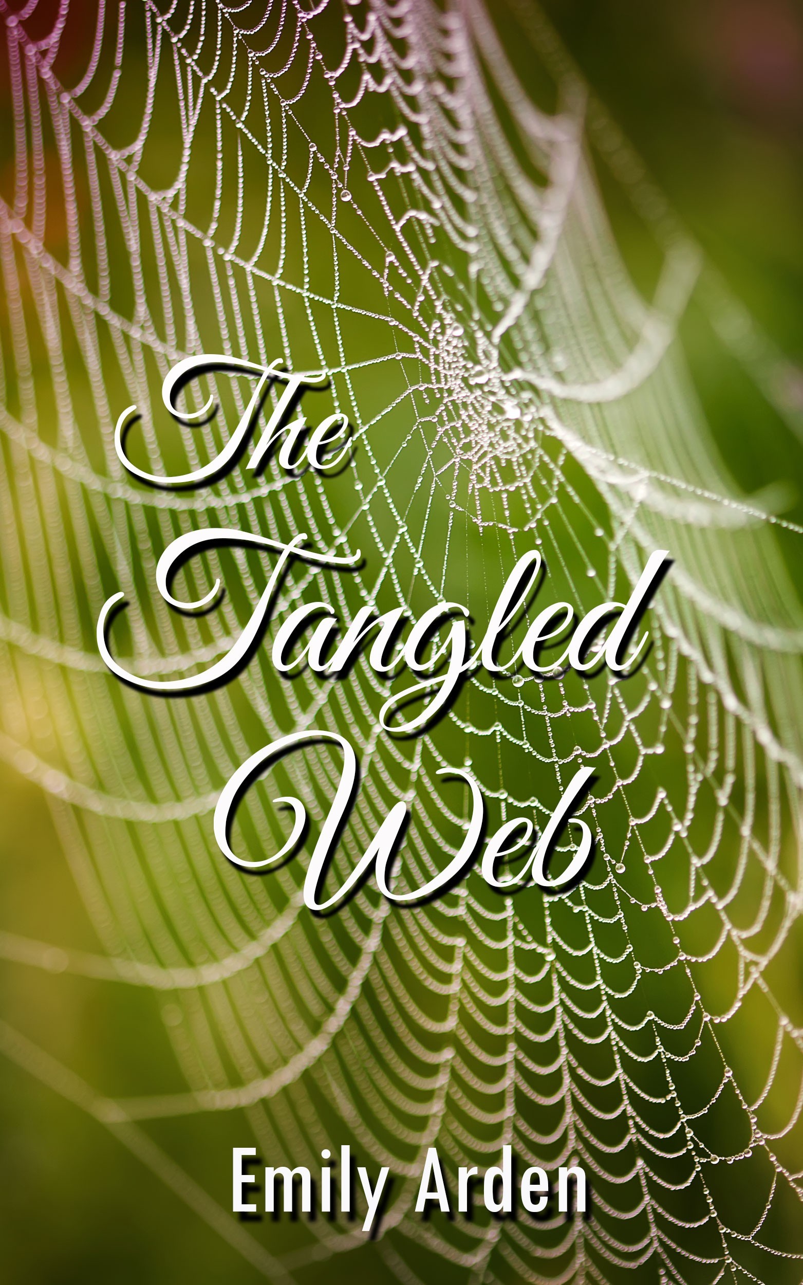 The Tangled Web, A Christmas Novella (Deception, #5) by Emily Arden ...