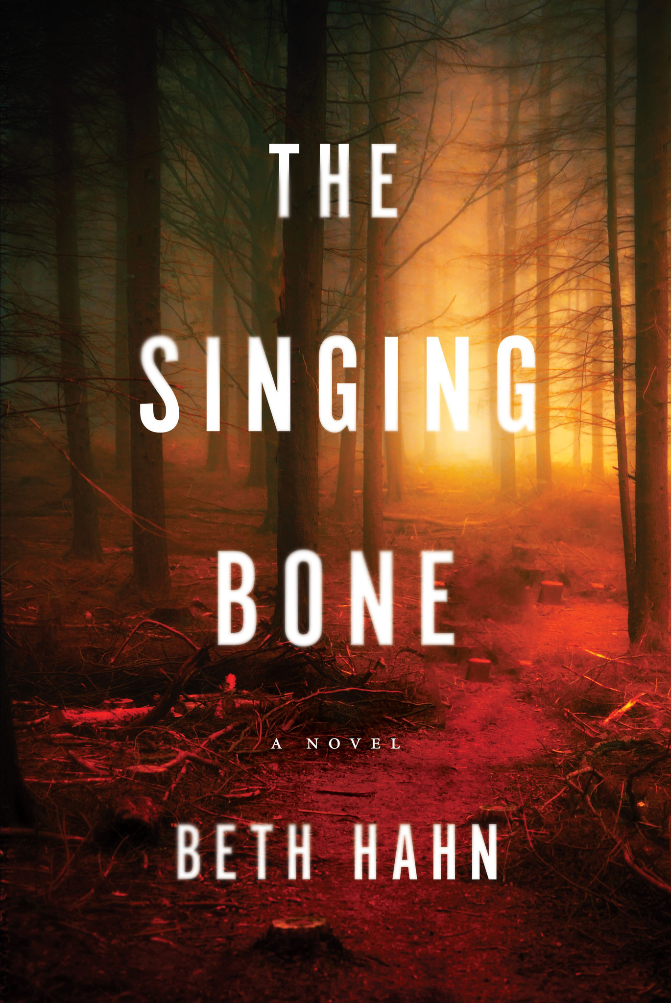 The Singing Bone by Beth Hahn | Goodreads