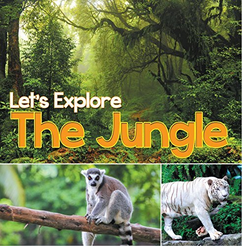 Let's Explore the Jungle: Wildlife Books for Kids by Baby Professor ...