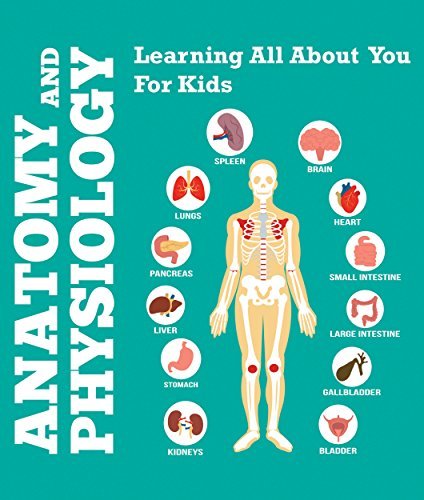 Anatomy And Physiology: Learning All About You For Kids: Human Body ...