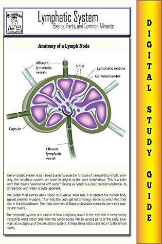 Lymphatic System ( Blokehead Easy Study Guide) by The Blokehead | Goodreads