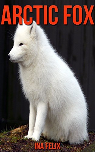 Arctic Fox: Children Book of Fun Facts & Amazing Photos on Animals in ...