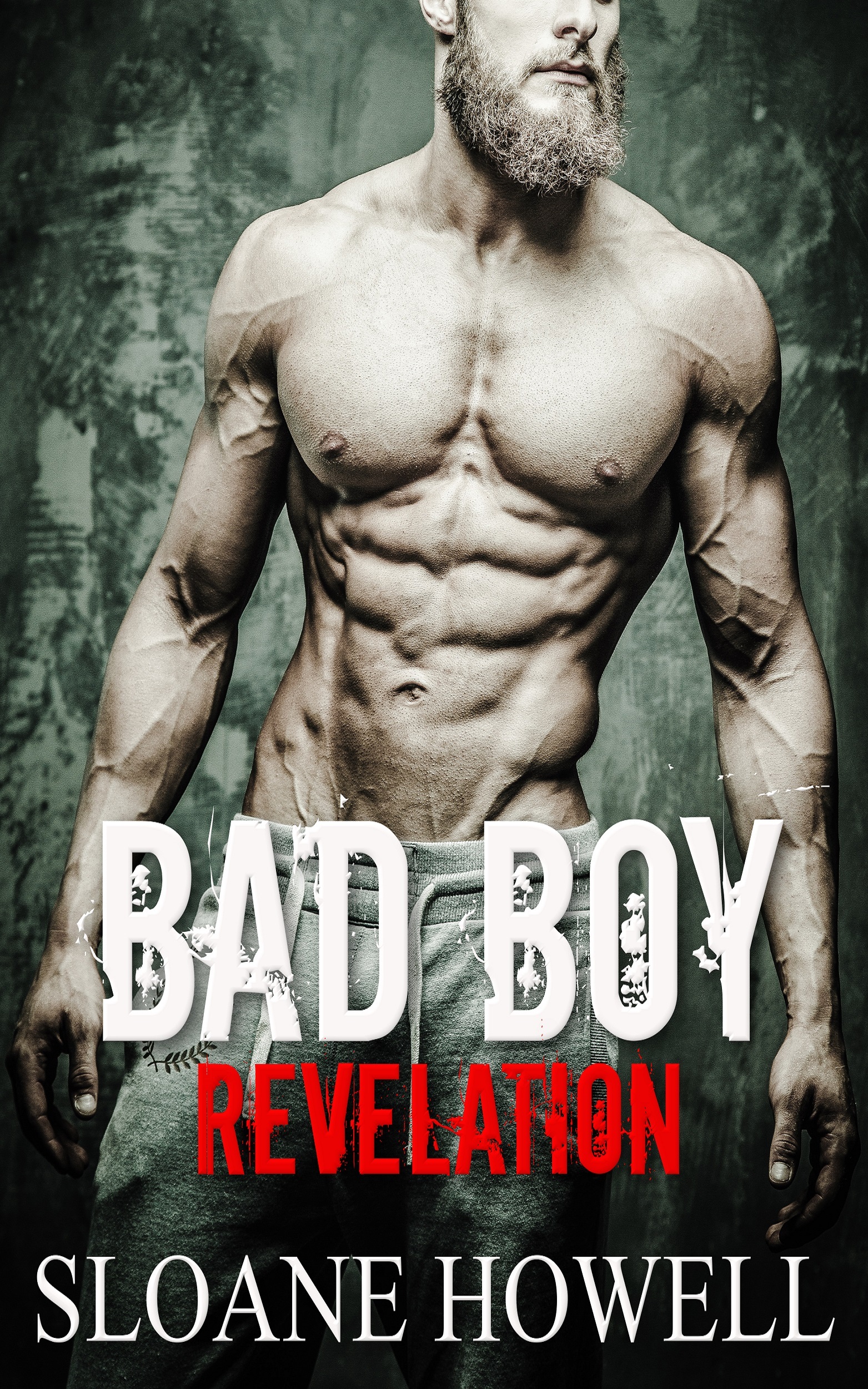 Bad Boy Revelation (Alpha Bad Boy, #1) by Sloane Howell | Goodreads