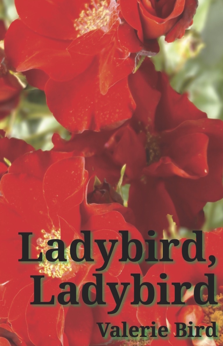 Ladybird, Ladybird by Valerie Bird | Goodreads