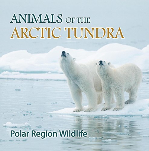 Animals of the Arctic Tundra: Polar Region Wildlife: Animal ...