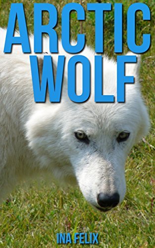 Arctic Wolf: Children Book of Fun Facts & Amazing Photos on Animals in ...