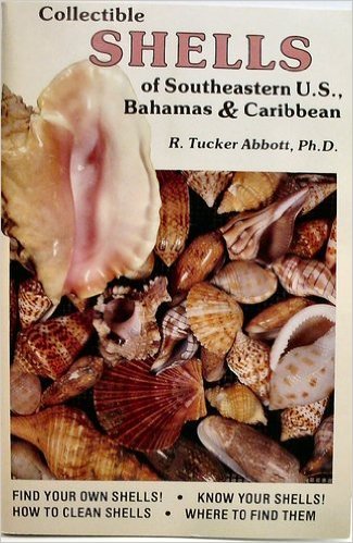 Collectible Shells of Southeastern United States, Bahamas, and the ...