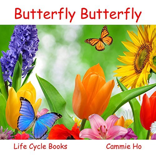 Butterfly Butterfly (Life Cycle Books) by Cammie Ho | Goodreads
