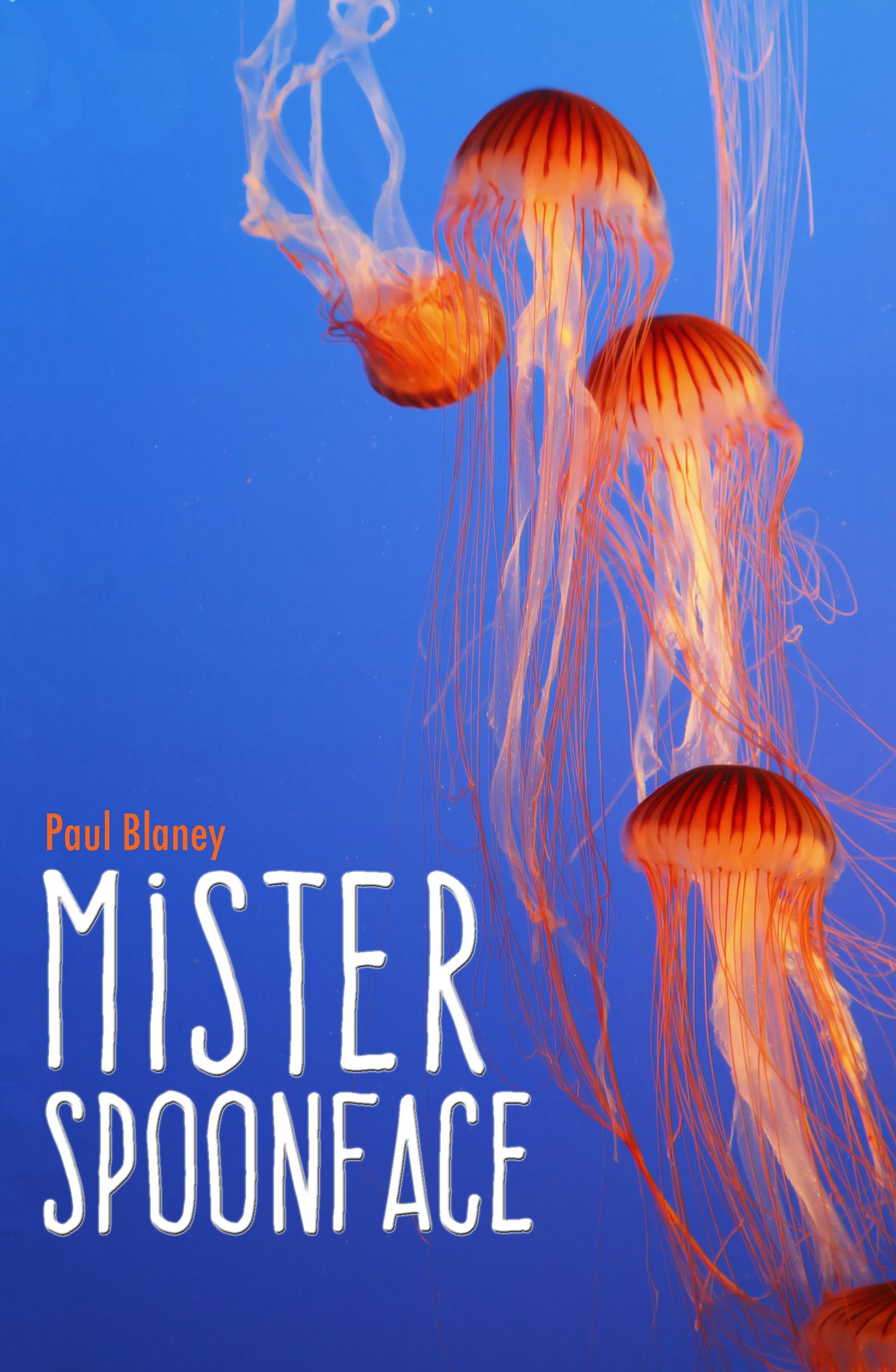 Mister Spoonface by Paul Blaney | Goodreads