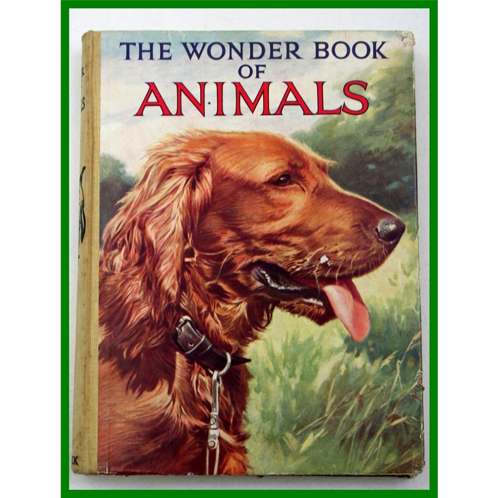 The Wonder Book of Animals by Harry Golding | Goodreads