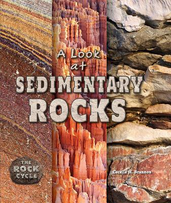 A Look at Sedimentary Rocks (The Rock Cycle) by Cecelia H. Brannon ...