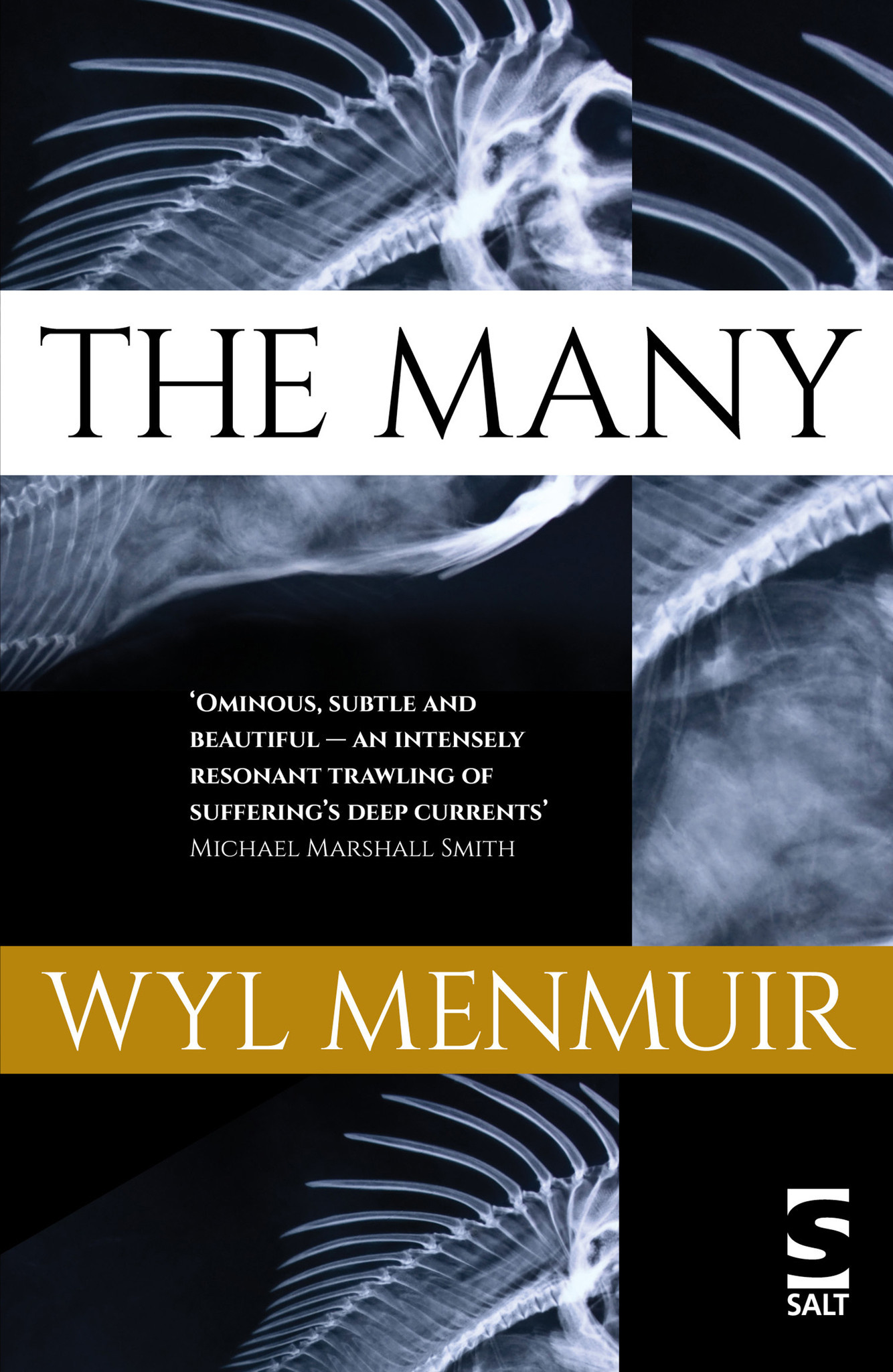 The Many by Wyl Menmuir | Goodreads