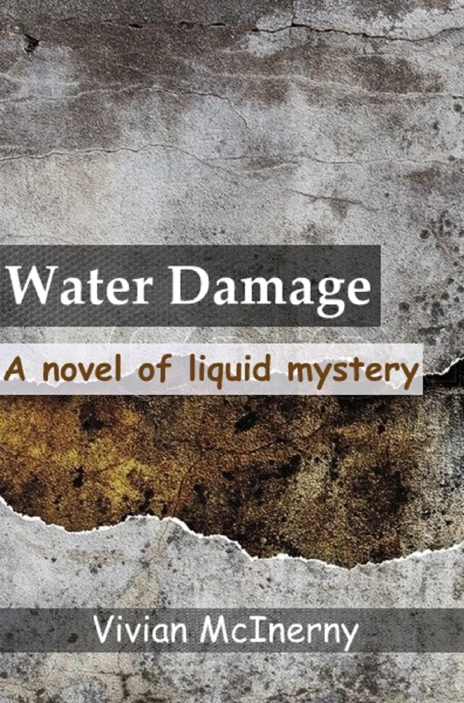 Water Damage: A novel of liquid mystery by Vivian McInerny | Goodreads