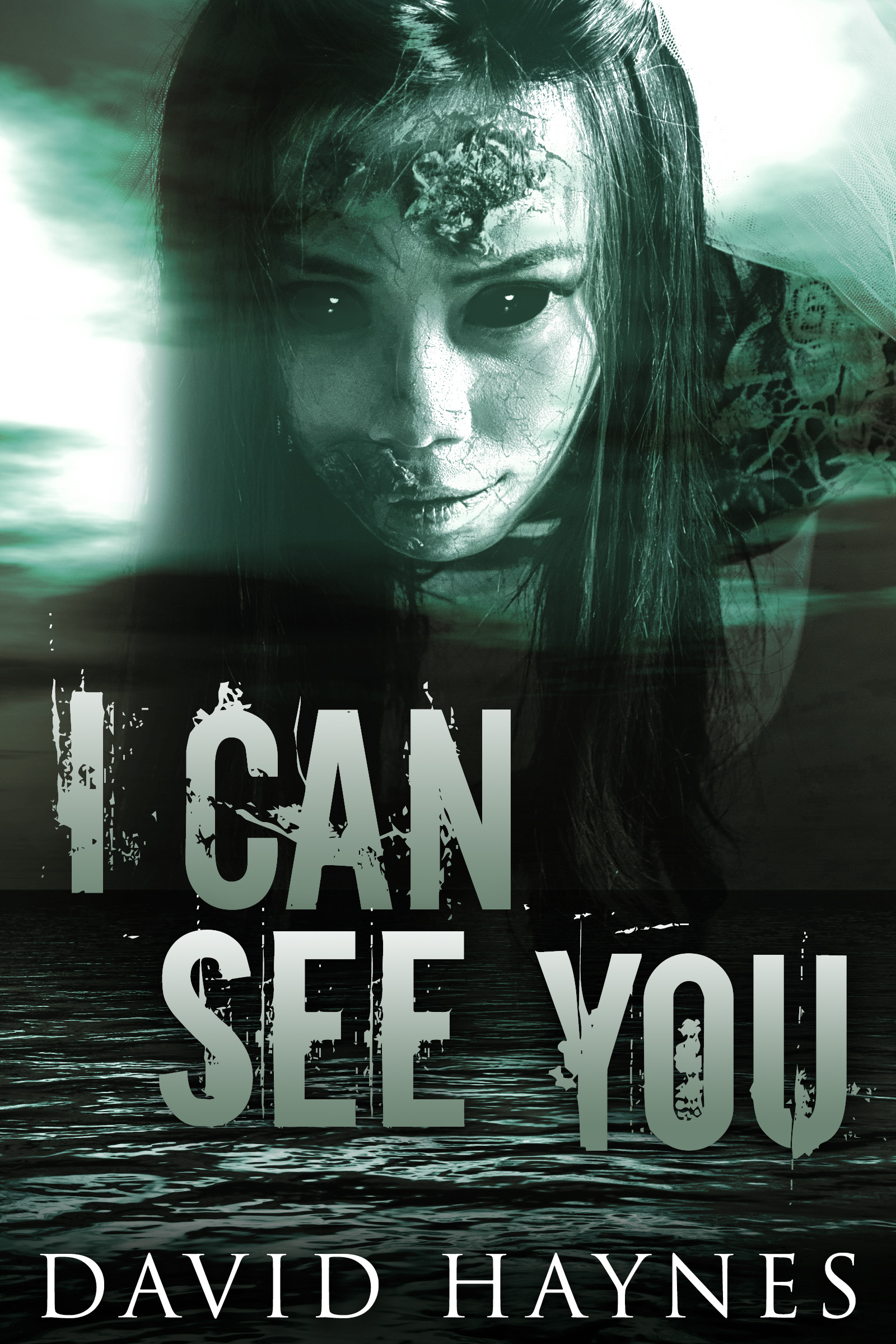 I Can See You by David Haynes | Goodreads