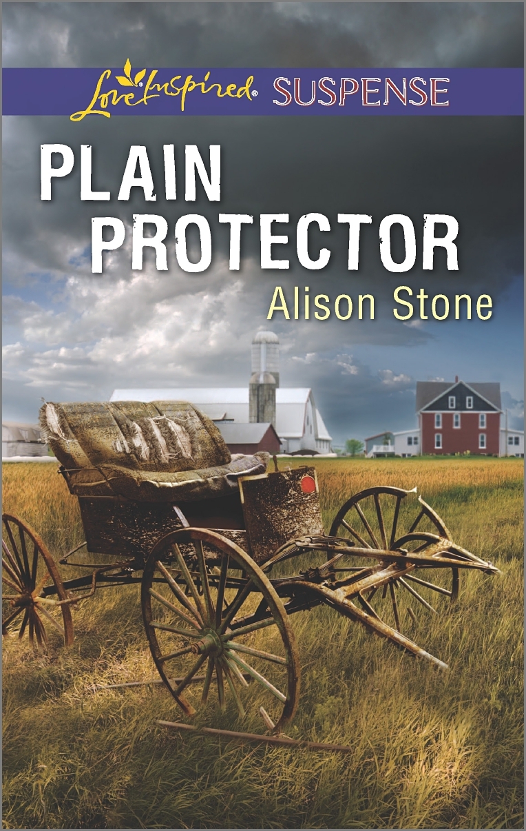 Plain Protector (Love Inspired Suspense) by Alison Stone | Goodreads
