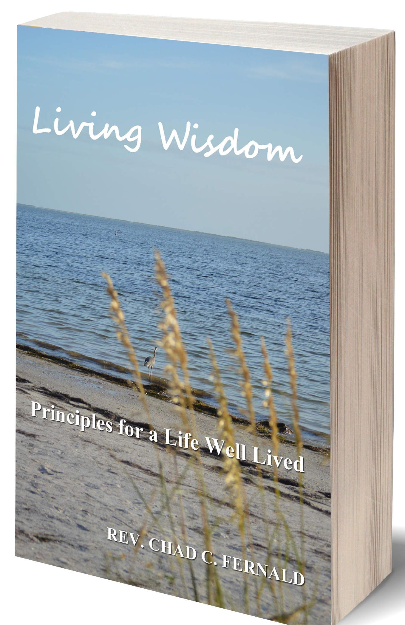 Living Wisdom: Principles for a Life Well Lived by Chad C. Fernald ...