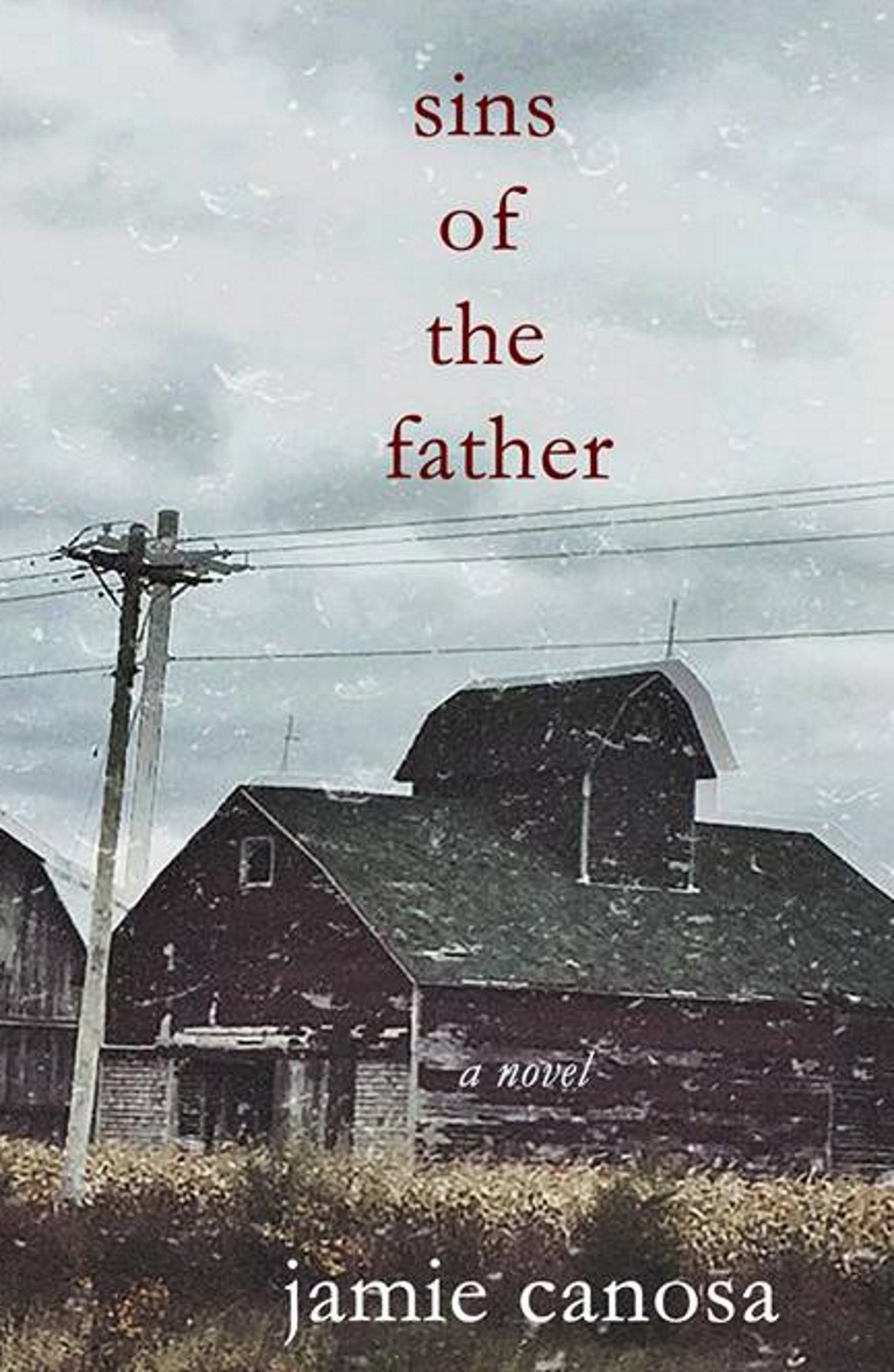 Sins of the Father by Jamie Canosa | Goodreads