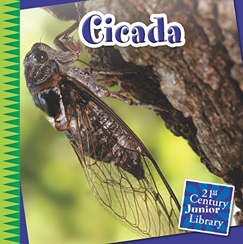 Cicada by Mike Shoulders | Goodreads