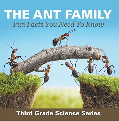 The Ant Family - Fun Facts You Need To Know : Third Grade Science ...