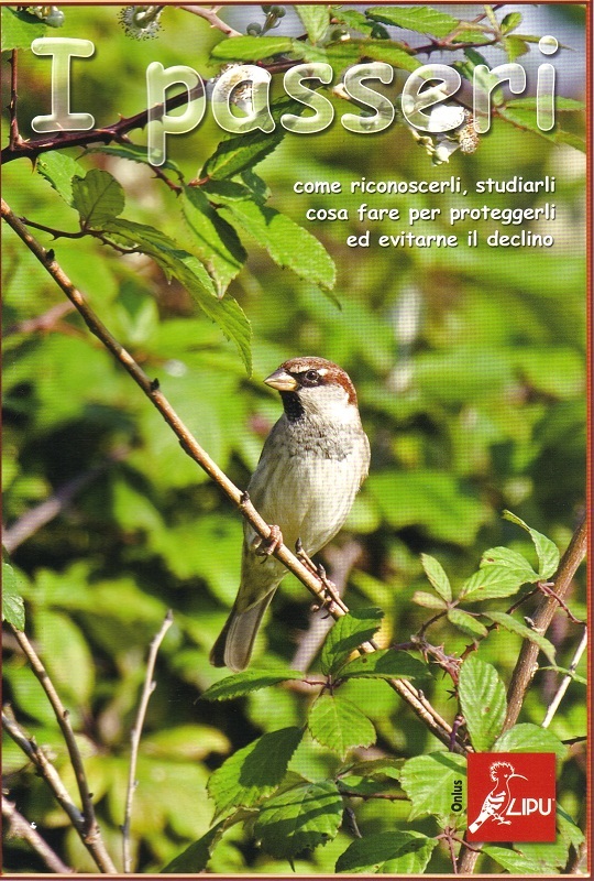 I passeri. Come riconoscerli, studiarli, cosa fare per proteggerli ed ...