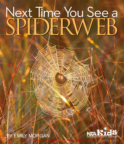 Next Time You See a Spiderweb by Emily Morgan | Goodreads