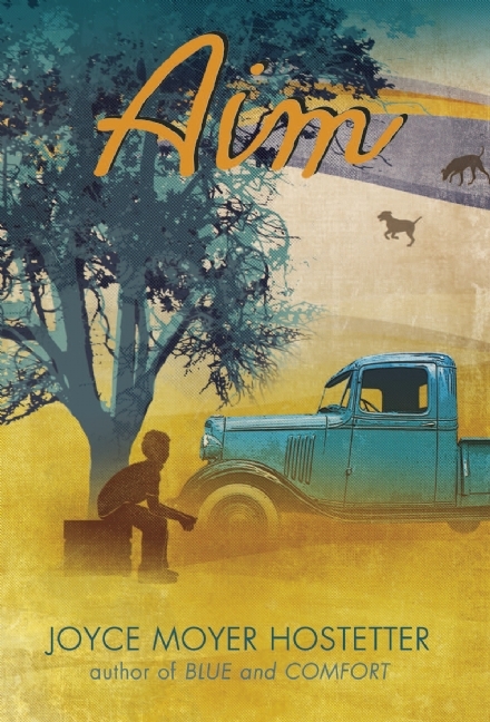 Aim (Ann Fay Honeycutt, #0.5) by Joyce Moyer Hostetter | Goodreads