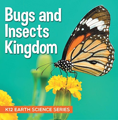 Bugs and Insects Kingdom : K12 Earth Science Series: Insects for Kids ...