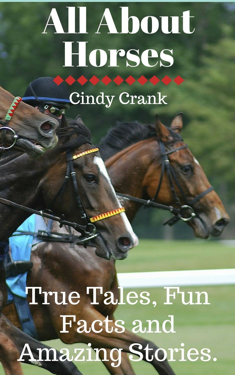All About Horses: True Tales, Fun Facts and Amazing Stories! by Cindy ...