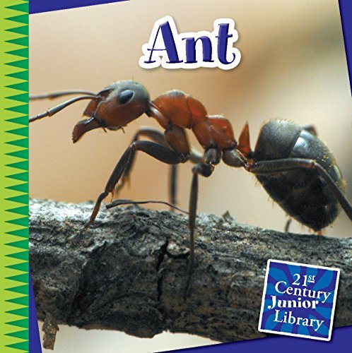 Ant by Susan H. Gray | Goodreads