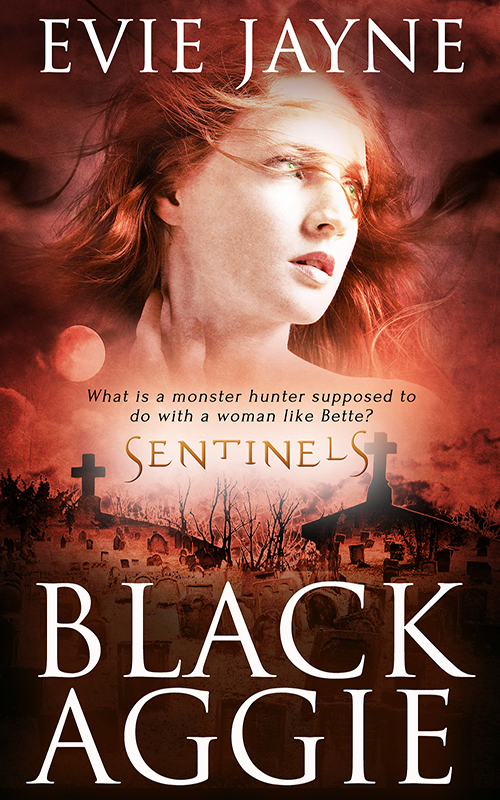 Black Aggie (Sentinels, #1) by Evie Jayne | Goodreads