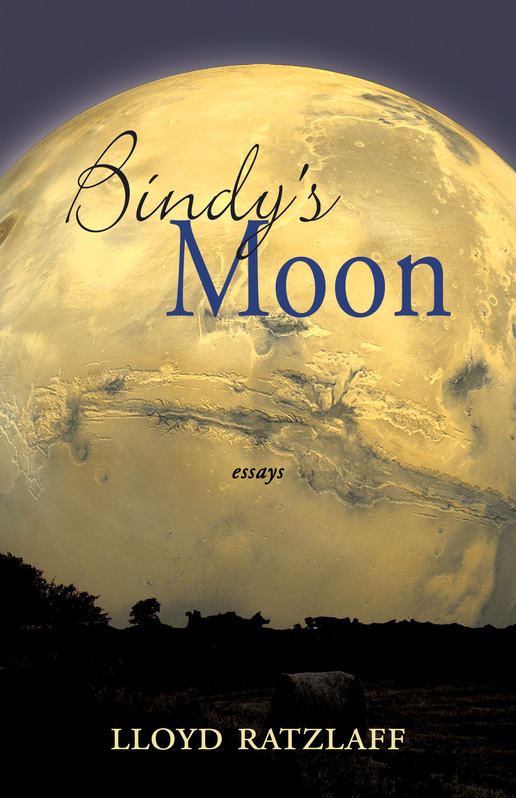 Bindy's Moon by Lloyd Ratzlaff | Goodreads