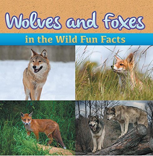 Wolves and Foxes in the Wild Fun Facts: Animal Encyclopedia for Kids ...