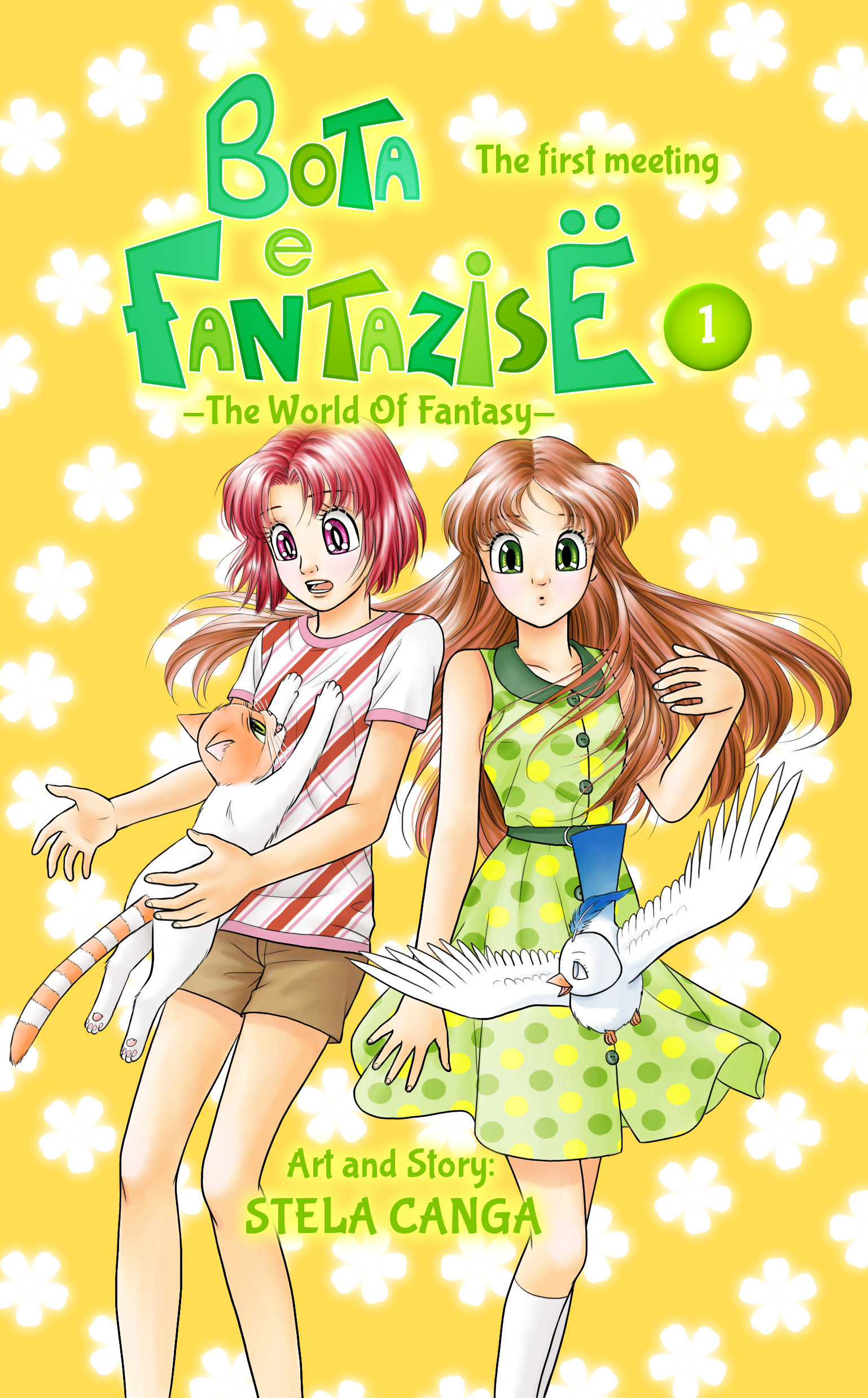 Bota E Fantazise (The World Of Fantasy): Chapter 01 - The First Meeting ...