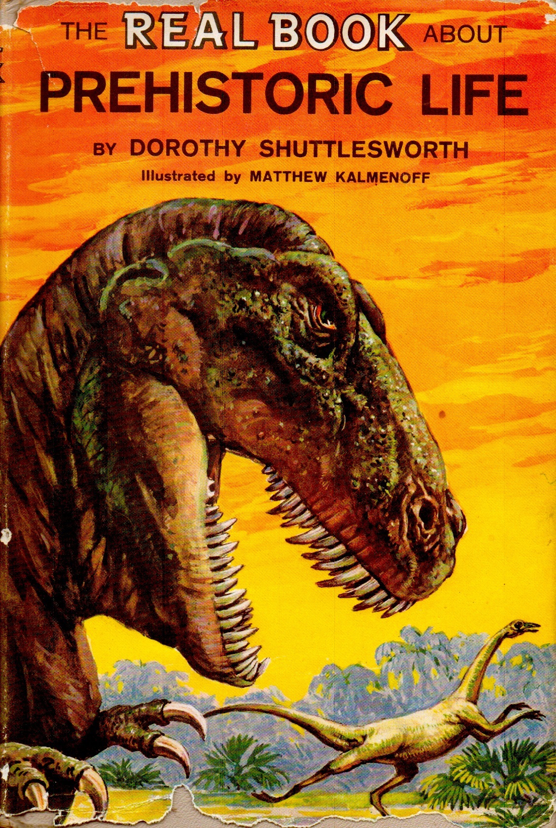 The Real Book About Prehistoric Life by Dorothy Edwards Shuttlesworth ...