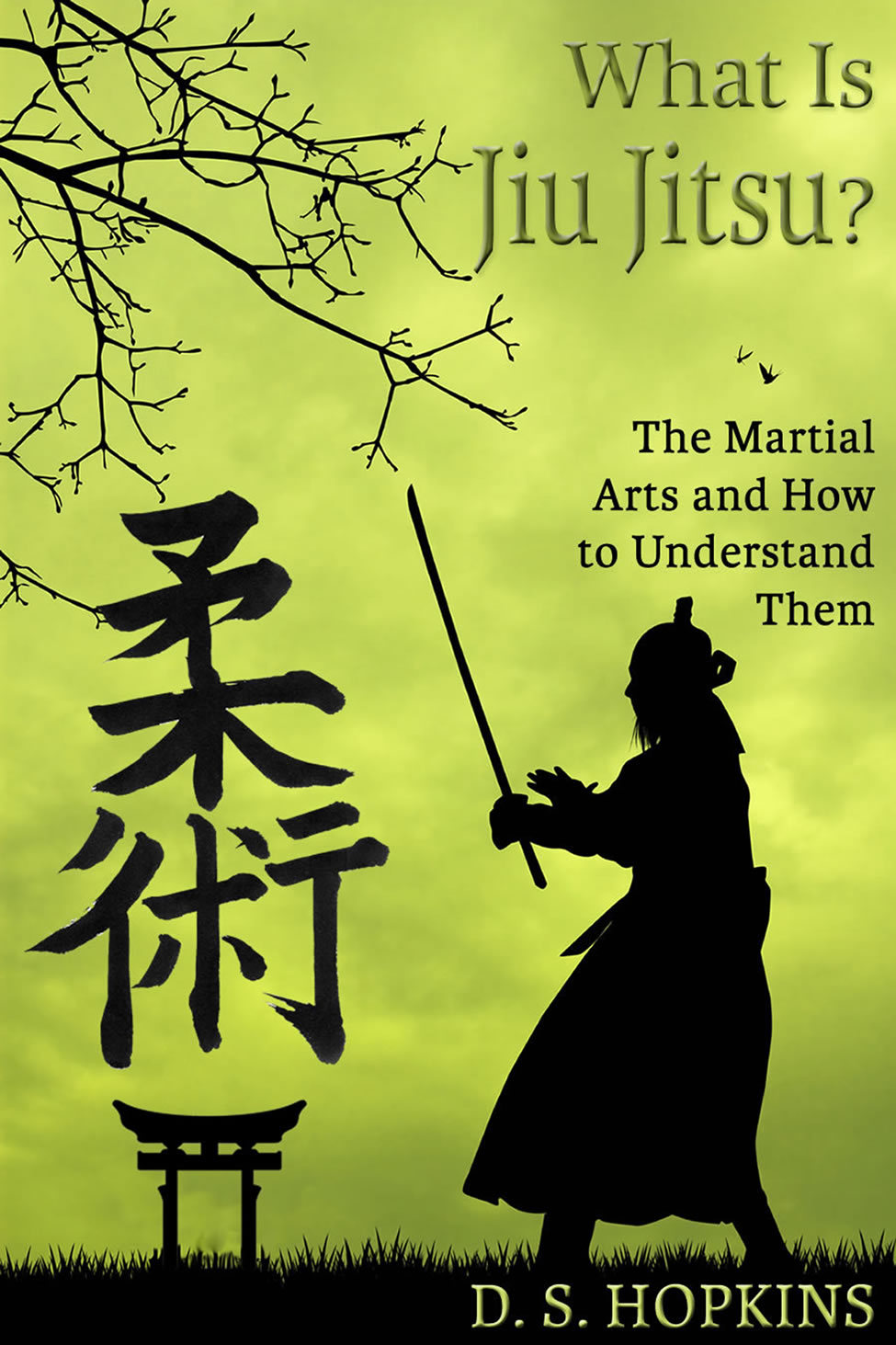 What Is Jiu Jitsu?: The Martial Arts And How To Understand Them by D.S ...