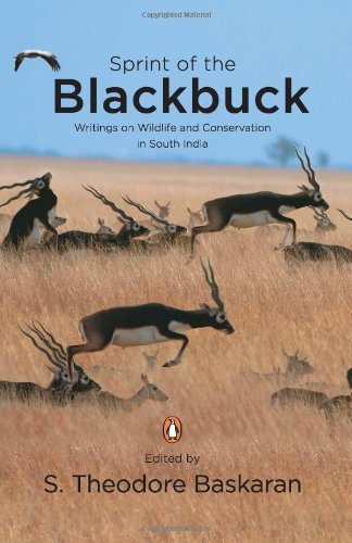 Sprint of the Blackbuck: Writings on Wildlife and Conservation in South ...