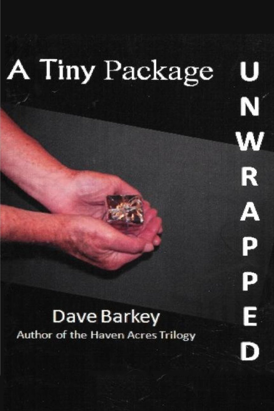 A Tiny Package Unwrapped by Dave Barkey | Goodreads