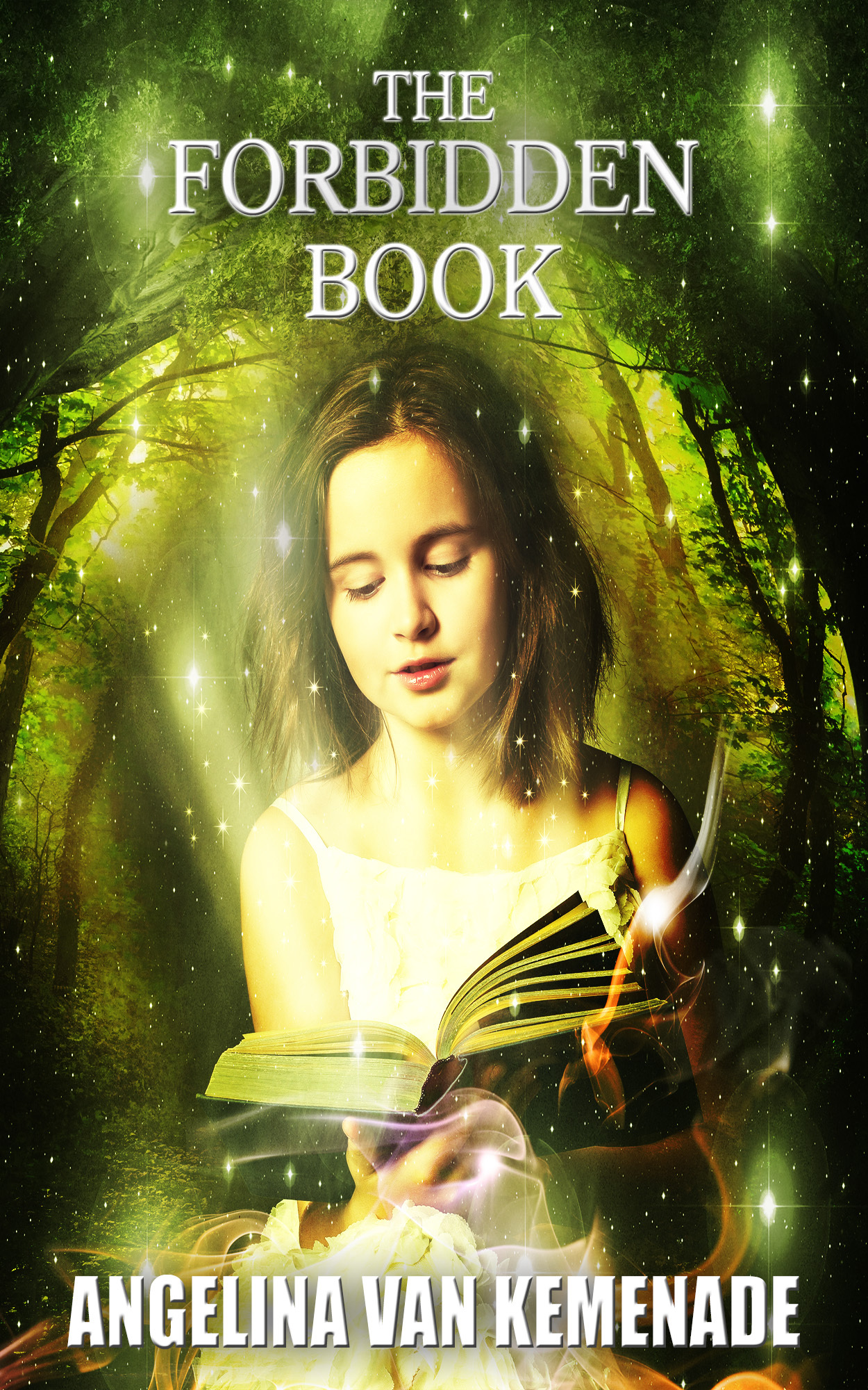 The forbidden book by Angelina van Kemenade | Goodreads