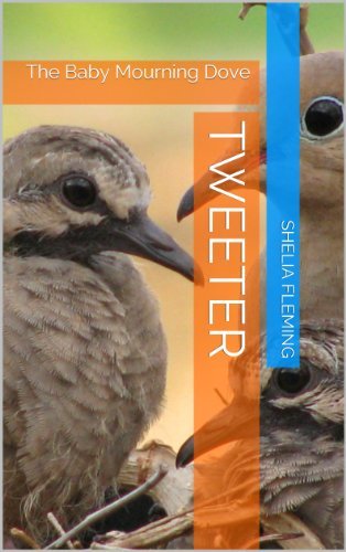 Tweeter: The Baby Mourning Dove by Shelia Fleming | Goodreads