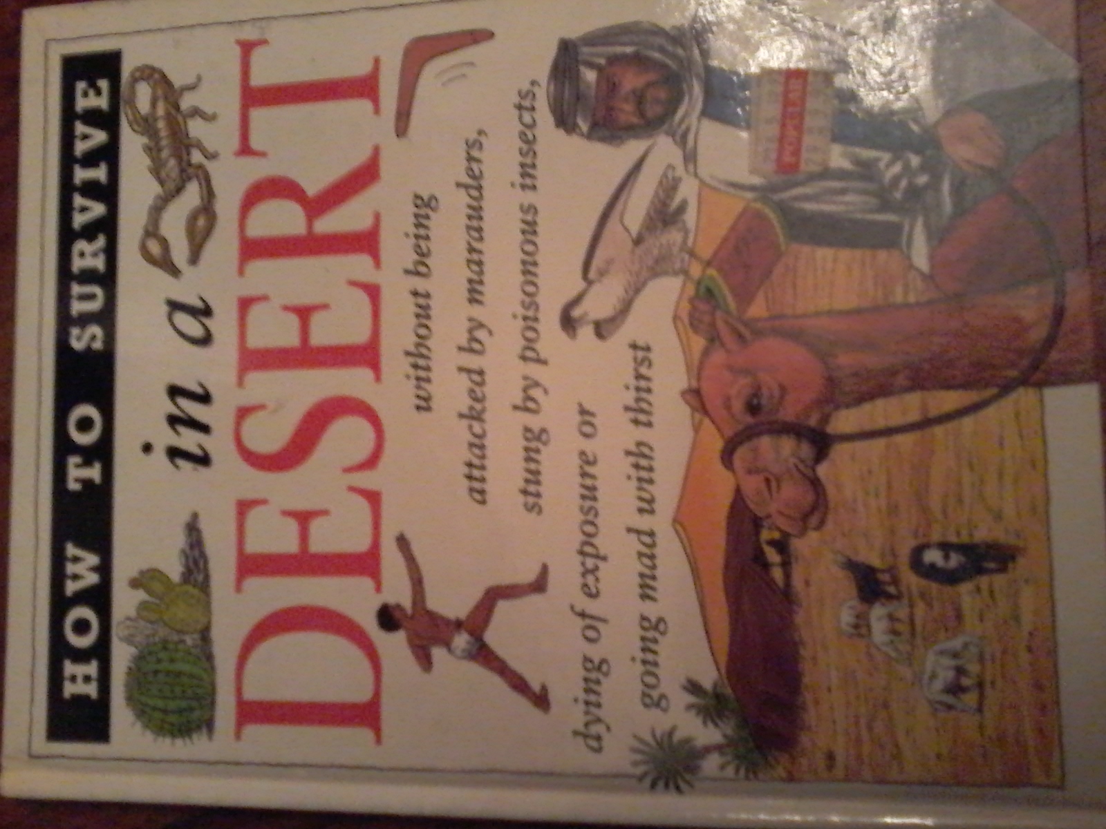 How To Survive In A Desert by Anita Ganeri | Goodreads