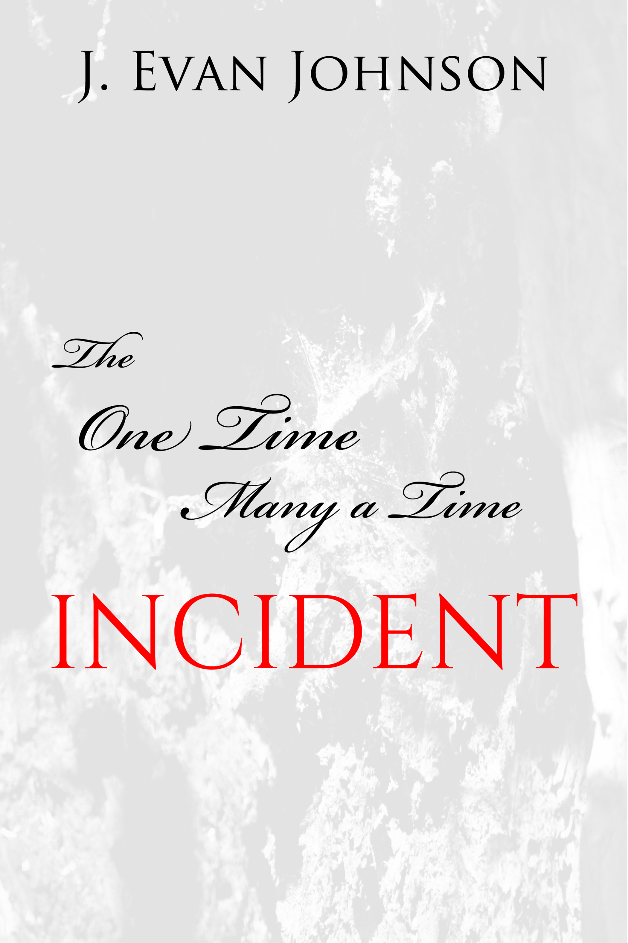 The One Time Many a Time Incident by J. Evan Johnson | Goodreads