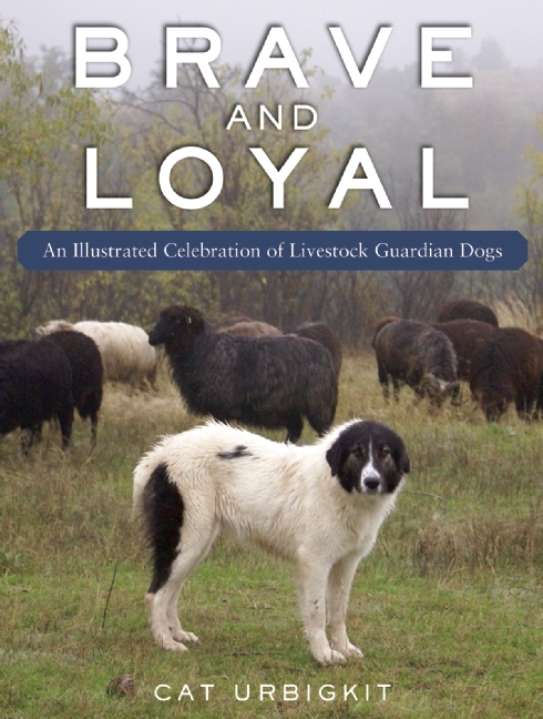 Brave and Loyal: An Illustrated Celebration of Livestock Guardian Dogs ...
