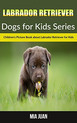 Labrador Retriever: Children's Picture Book about Labrador Retriever ...